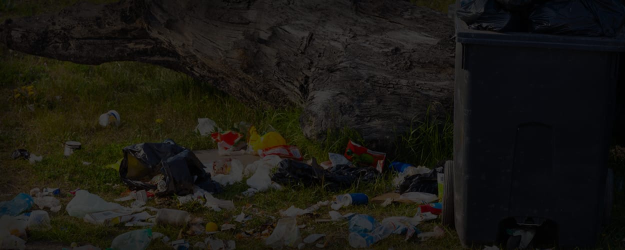 Garbage Can Pest Prevention Guide - Blazer Brand